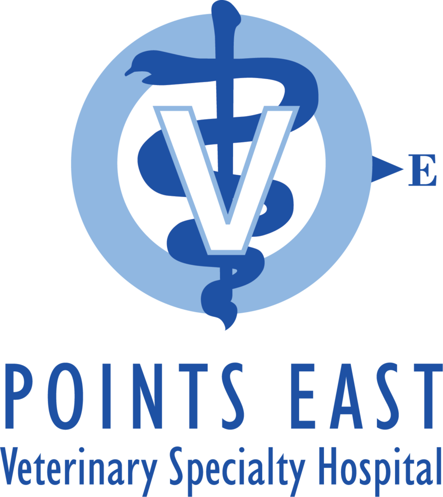 Virtual CE Event - Veterinarian Wilson, NC | Vets Pets