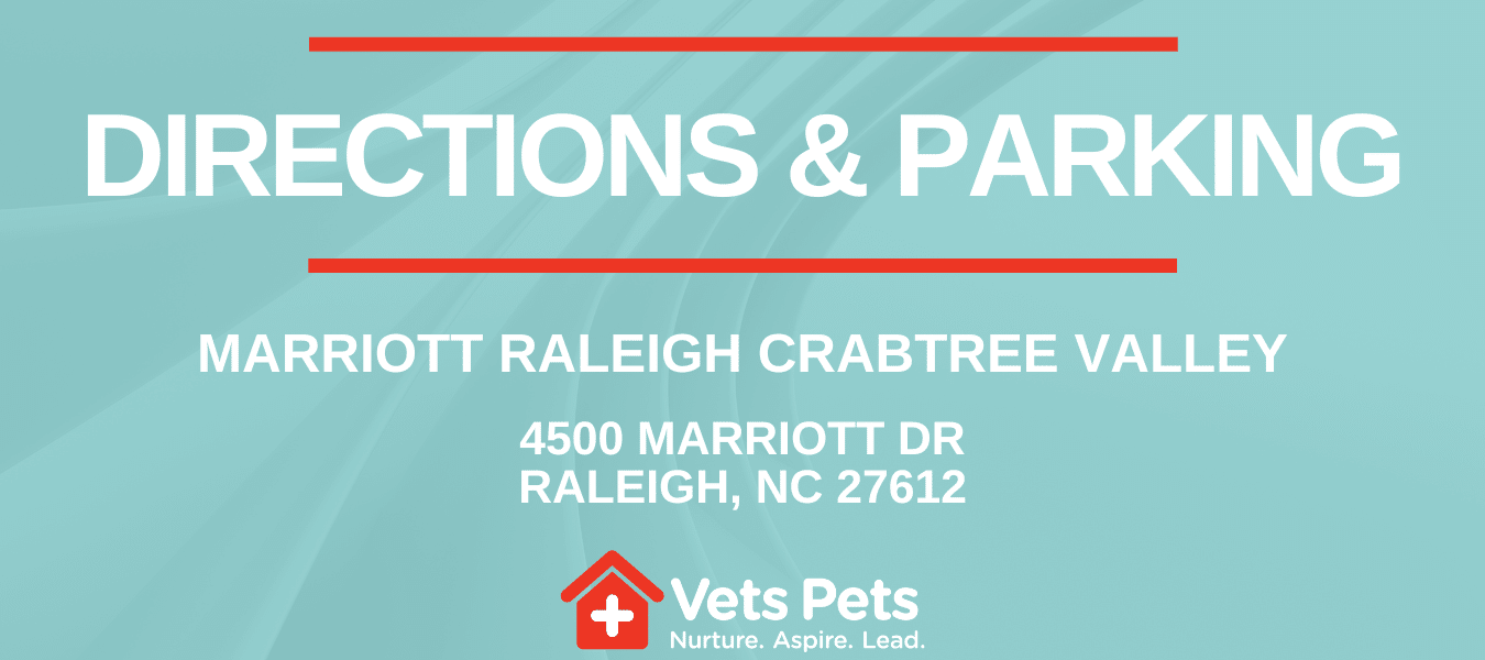 Summer Sessions with Vets Pets - Registration & Information